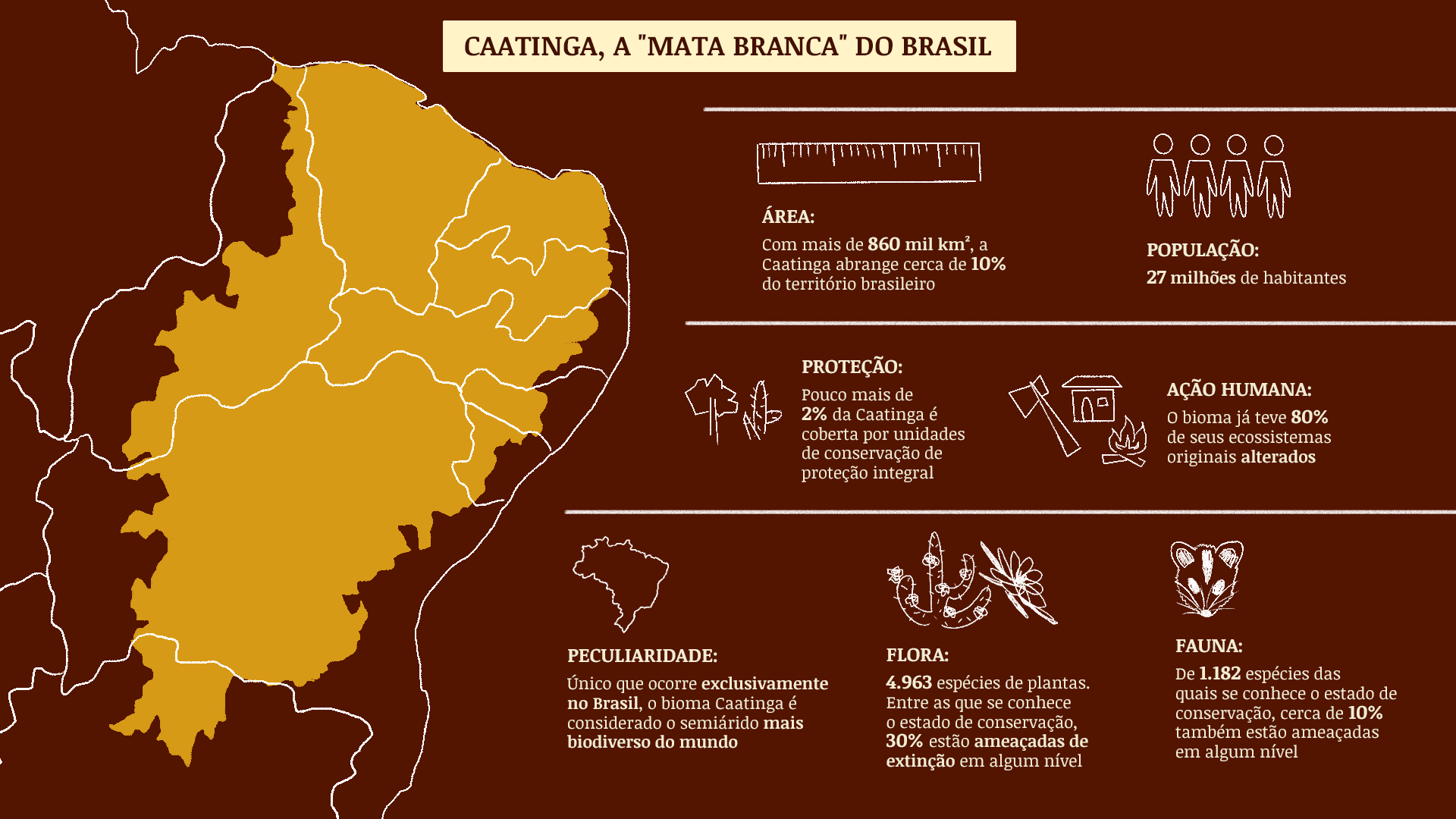 Caatinga brasileira, notável e desconhecida | Outras Palavras