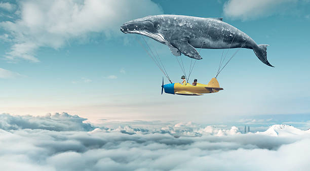 Surrealismo, 100 anos: arte, revolução e sonho | Outras Palavras