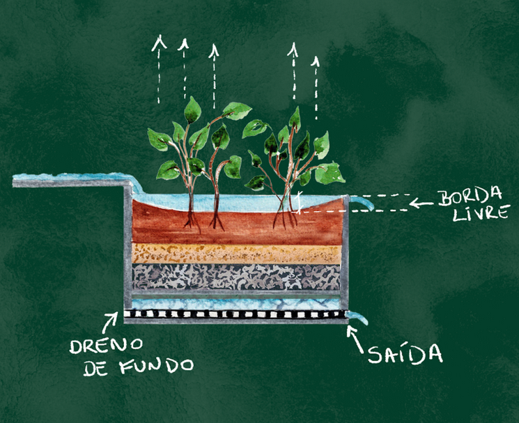 Jardins de chuva: o que são e qual seu papel nas cidades? | Outras Palavras